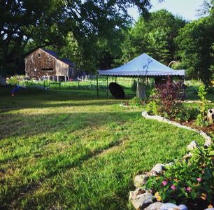 Flowers, Farm, Vegetable Csa - Good Buddy Farm - Portland, Maine