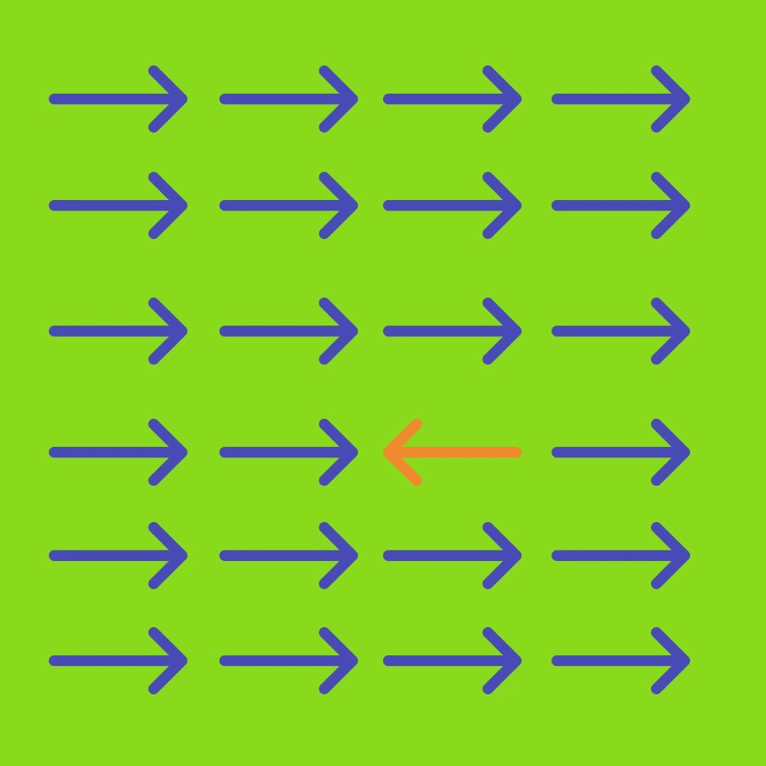 We Can Like Different Things