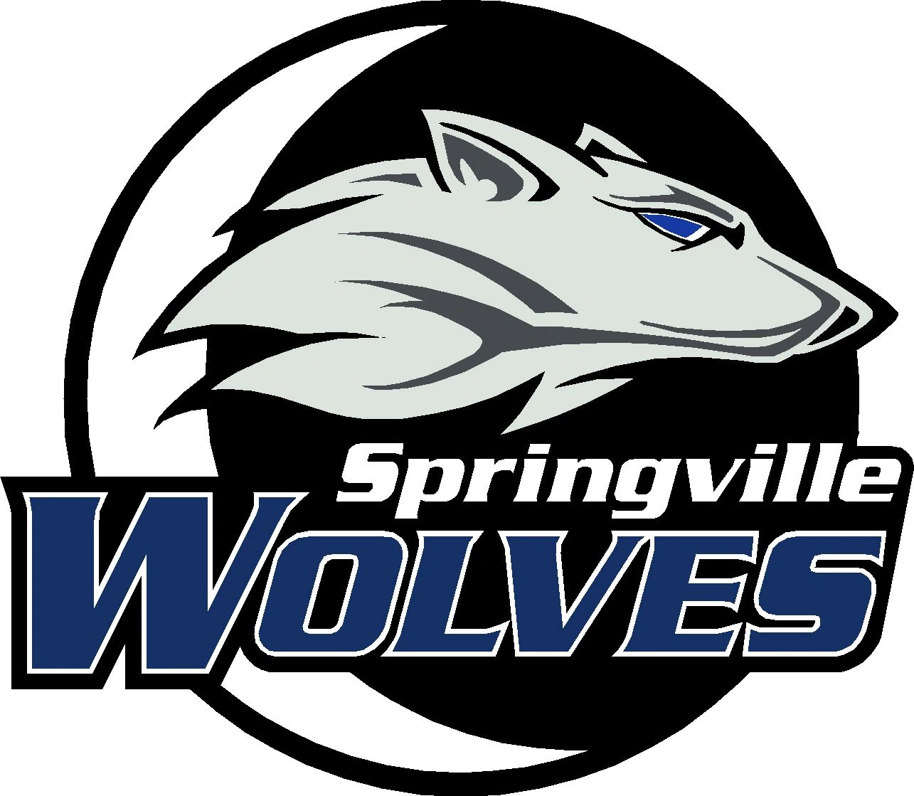 ABOUT SPRINGVILLE PTO | Springville PTO