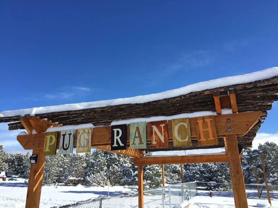 The Pug Ranch