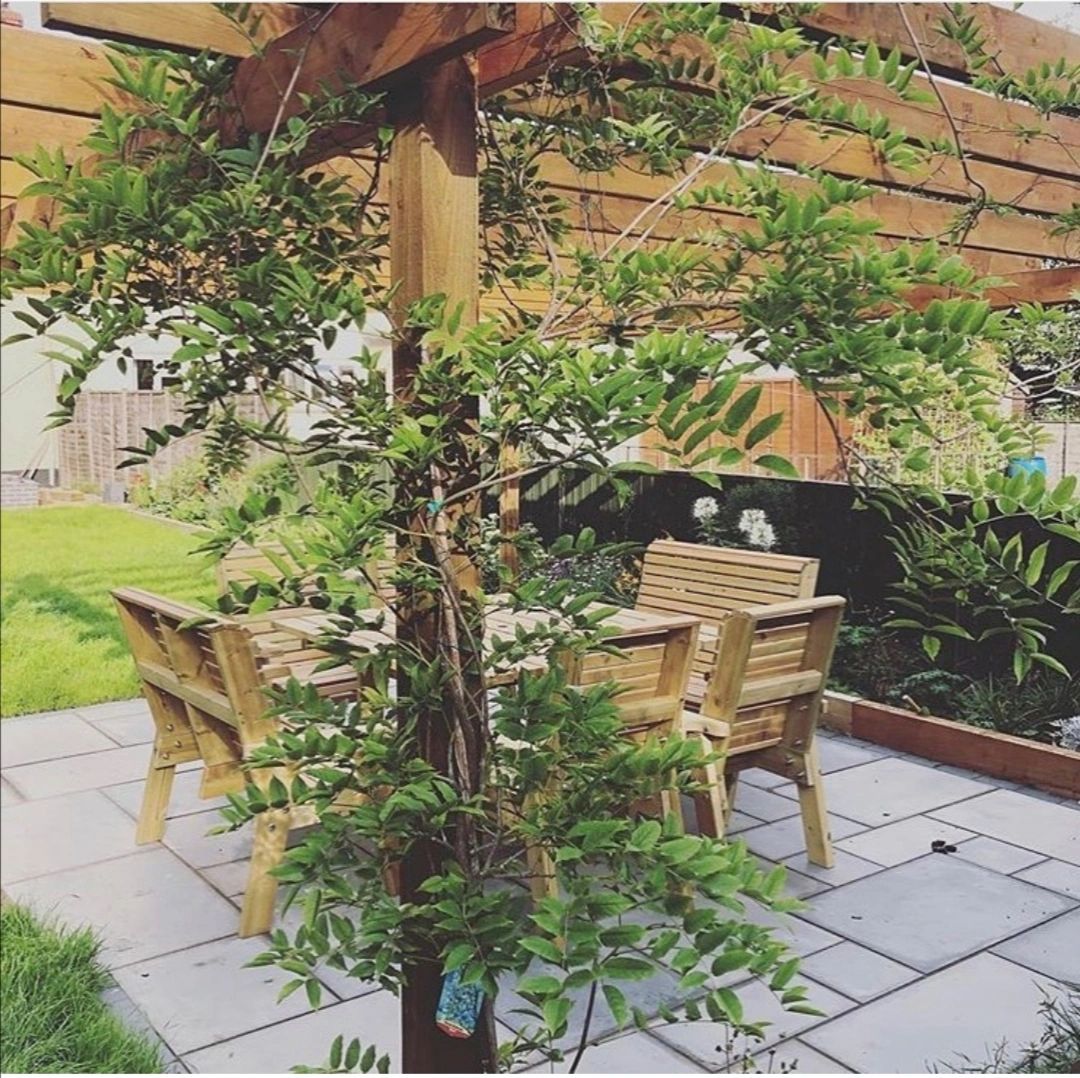 Vale landscaping