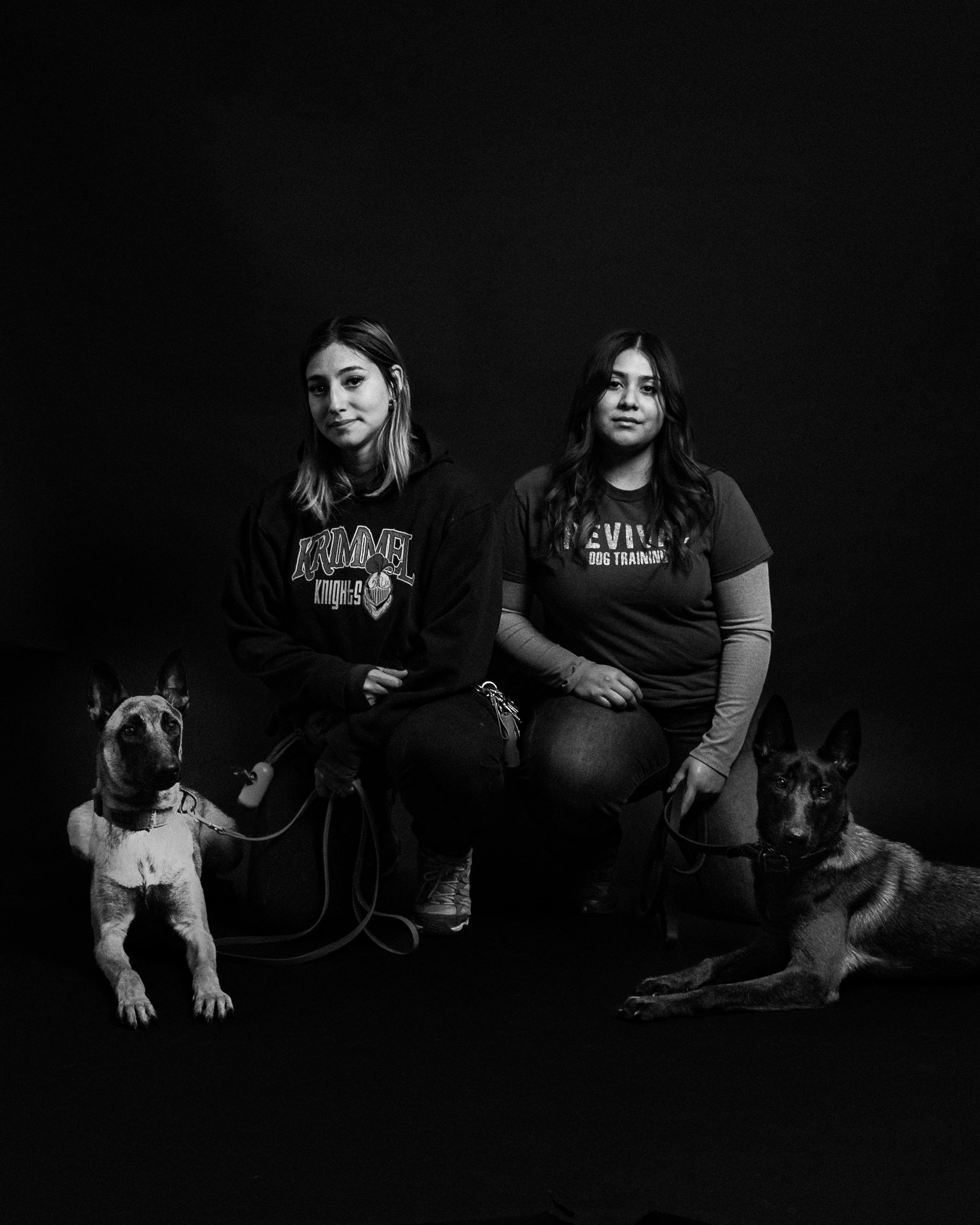 Revival Dog Training