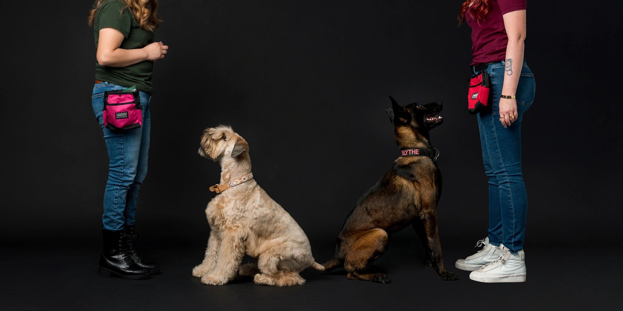 Revival Dog Training