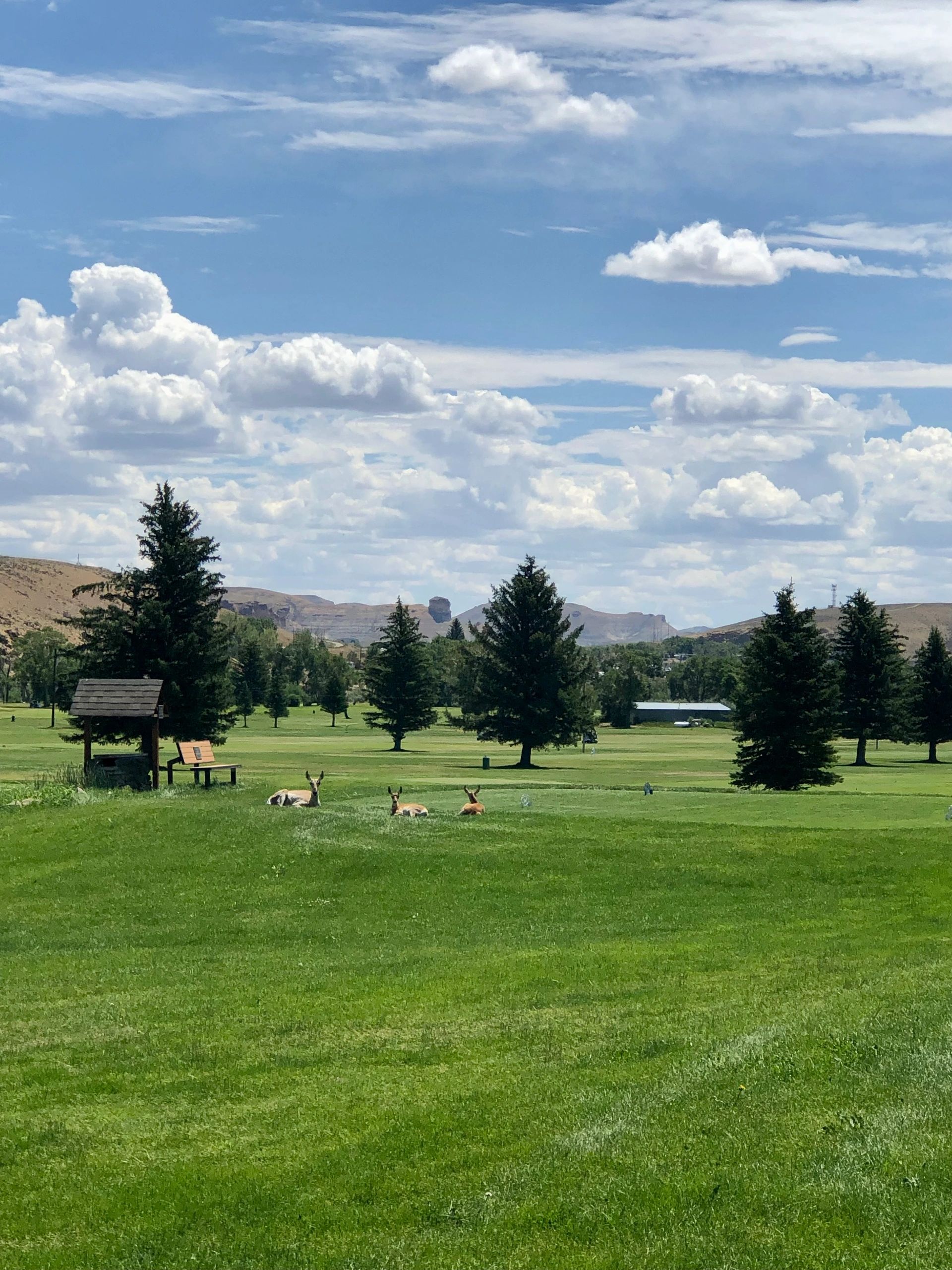 HOME [rollinggreencountryclub.info]