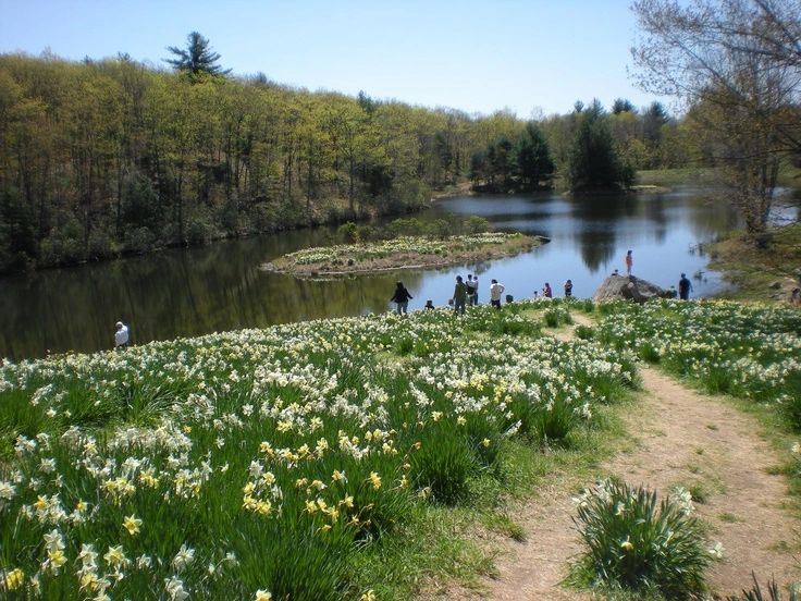 The Seherr-Thoss Foundations - Home