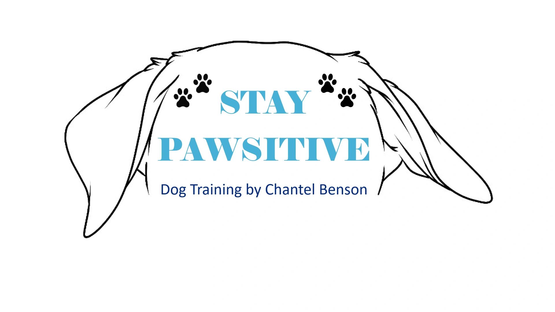 Services | Stay Pawsitive