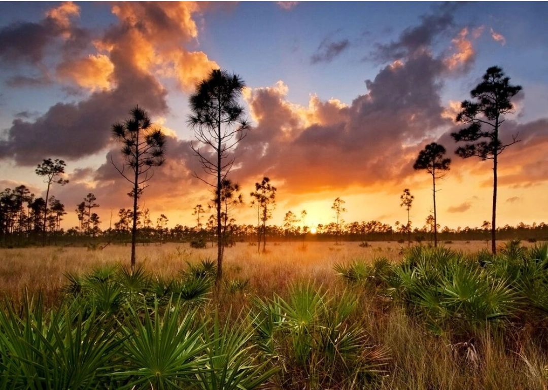 Nature Coast Resources