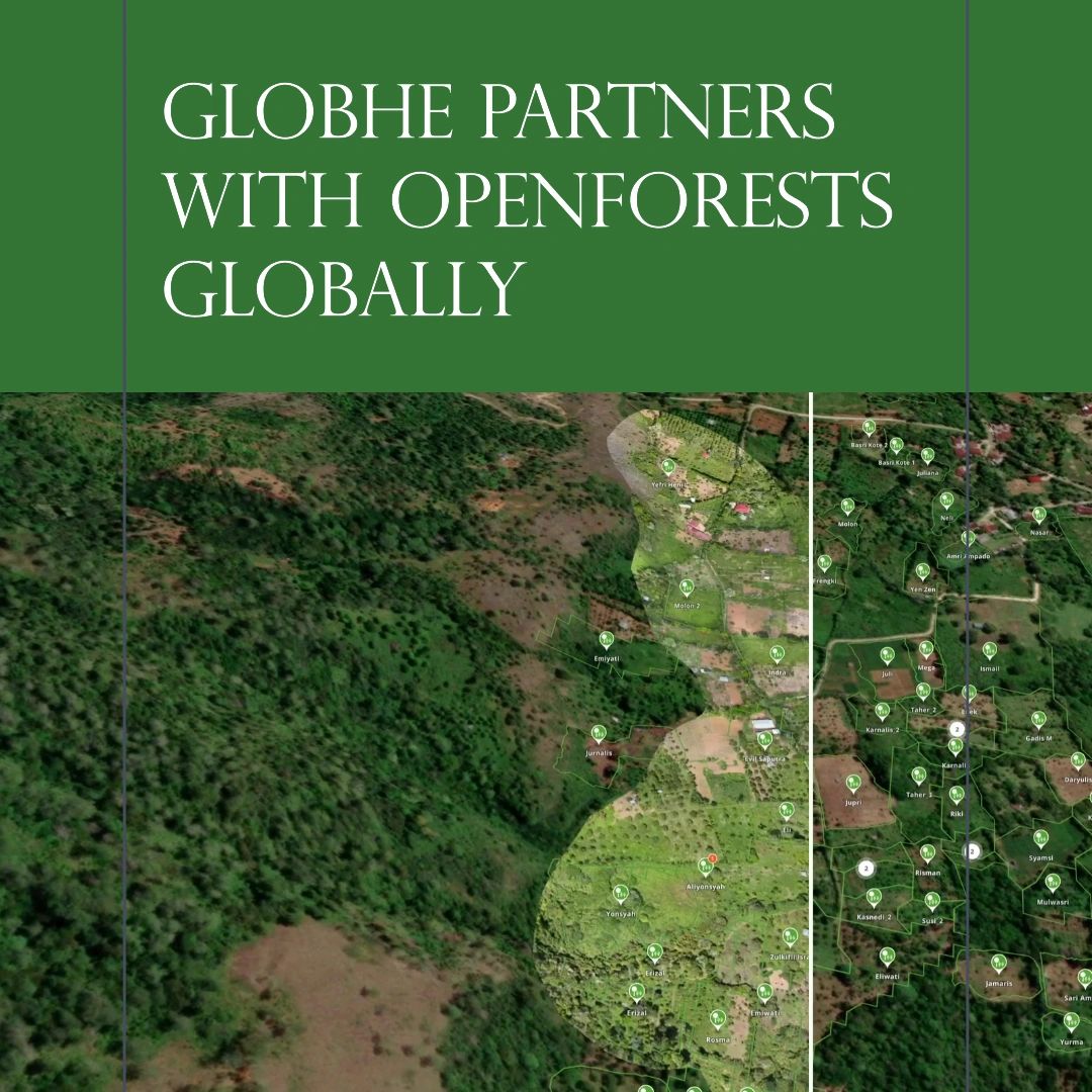 Globhe Partners With OpenForests Globally