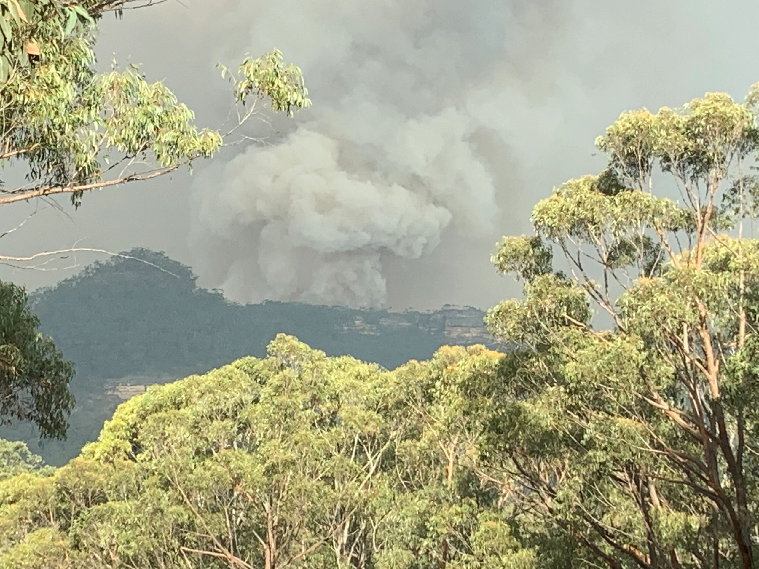 Bushfire Ready and Resilient