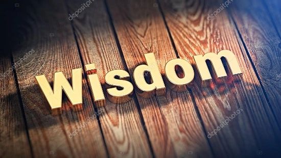 A Wise and Discerning Mind