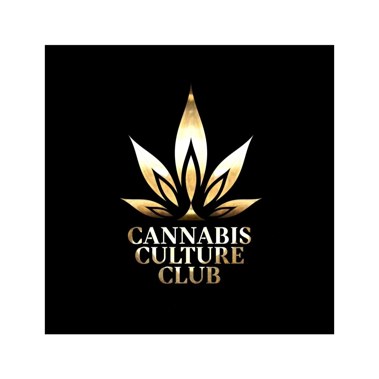 Cannabis Culture Club