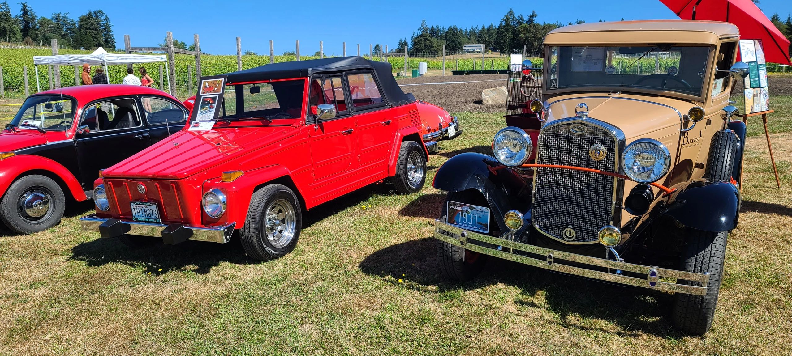 Rotary Car Show of the San Juan Islands