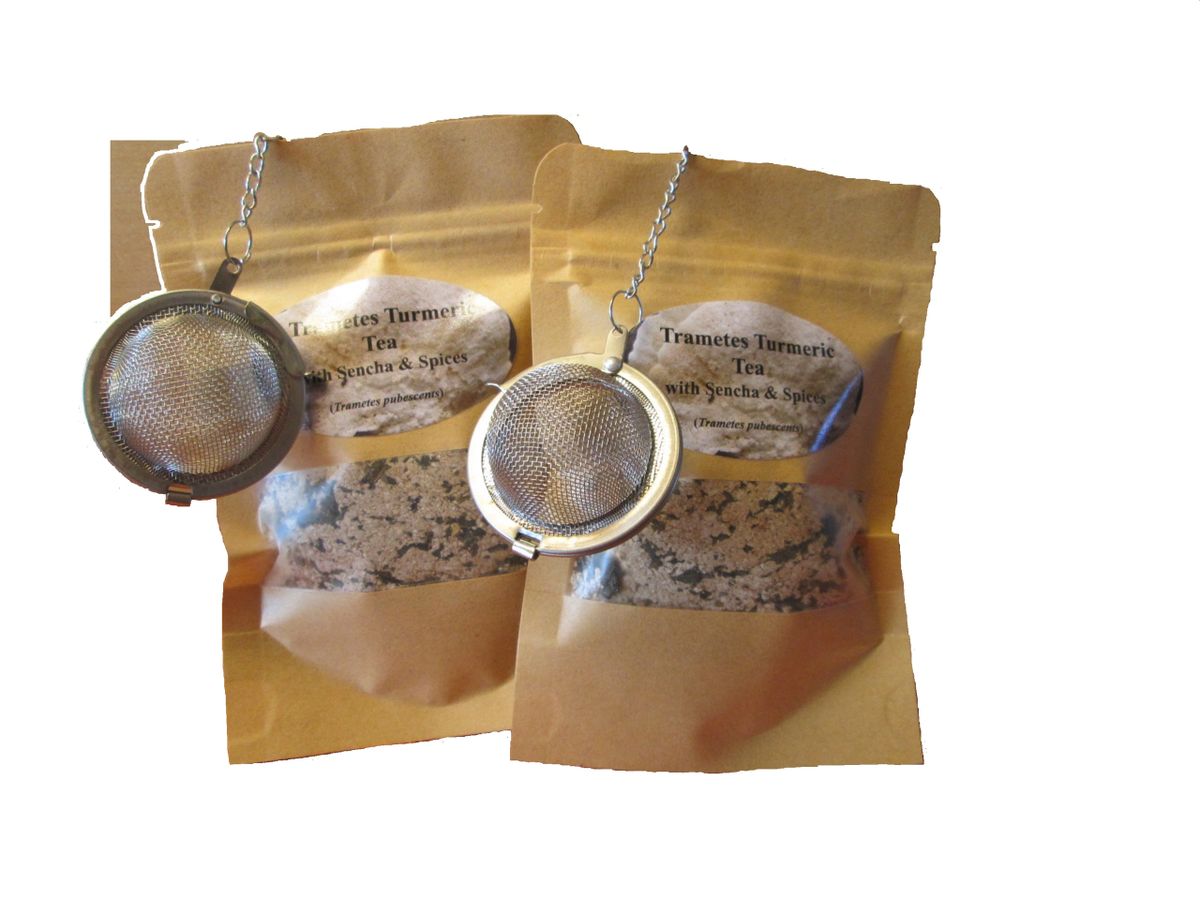 2 (1 oz. each) Trametes Tumeric Tea with Sencha and Spices