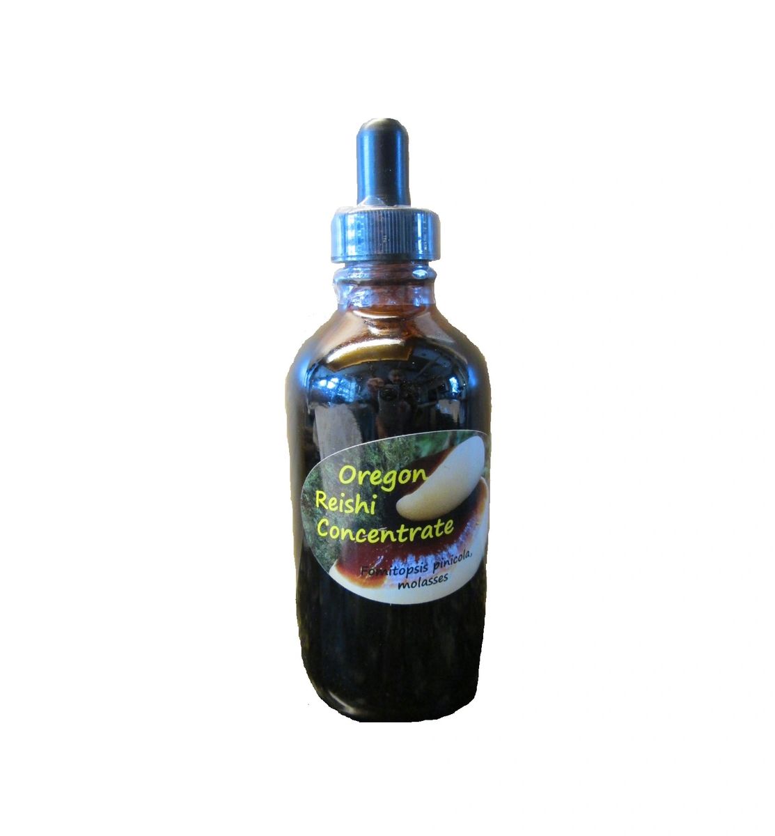 4 oz. Oregon Reishi (Ganoderma oregonense) Concentrate