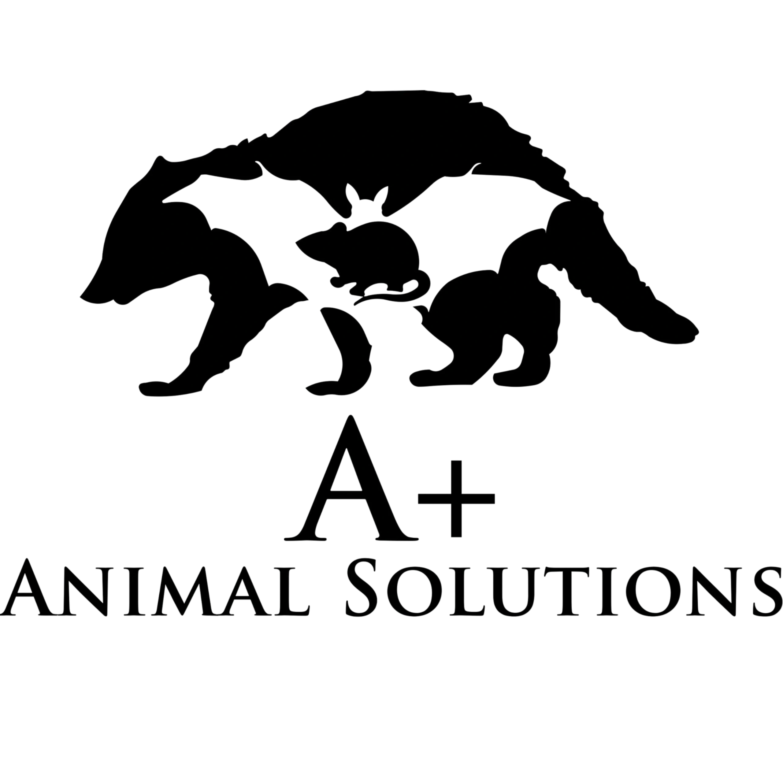 A Plus Animal Soltuions