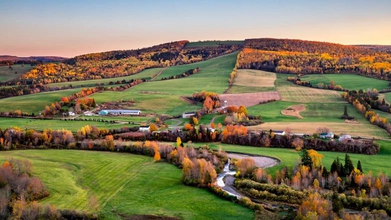 Craig Savoie Electrical