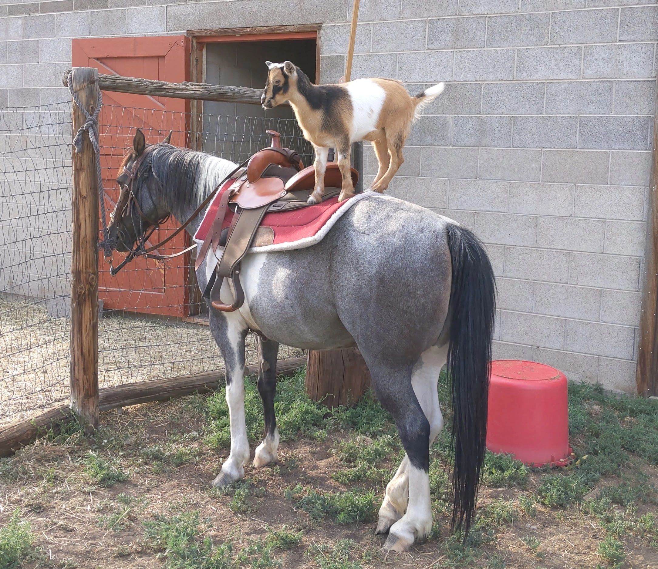 Gallery | Anna's Farm