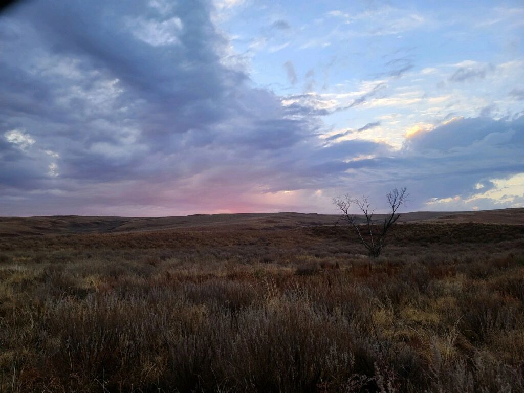 Antlers Edge - Whitetail Hunting, Ranch Management