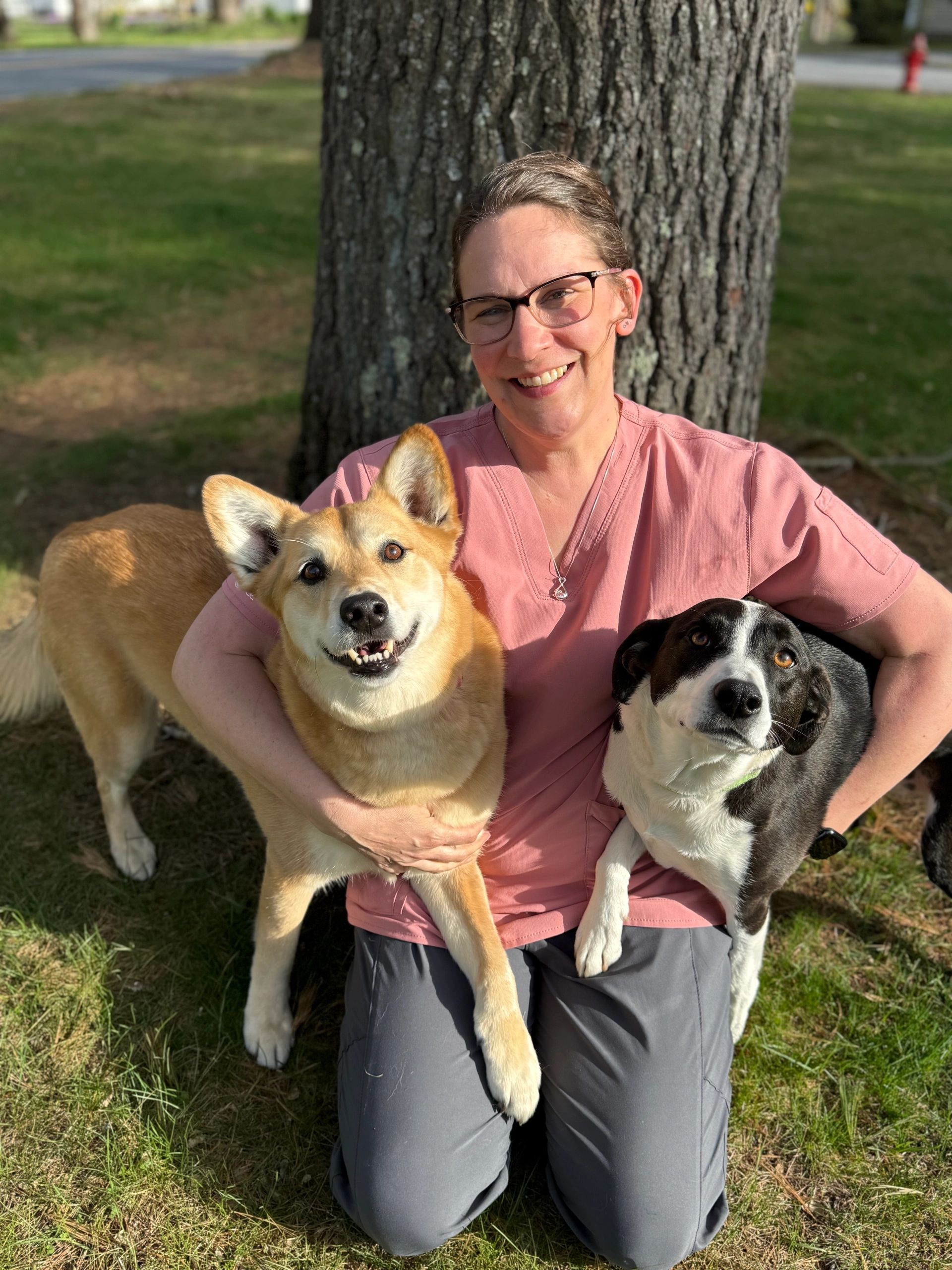 In-Home Veterinary Care: Compassionate Services at Home