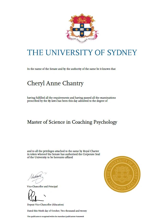 A journey grounded in purpose and meaning