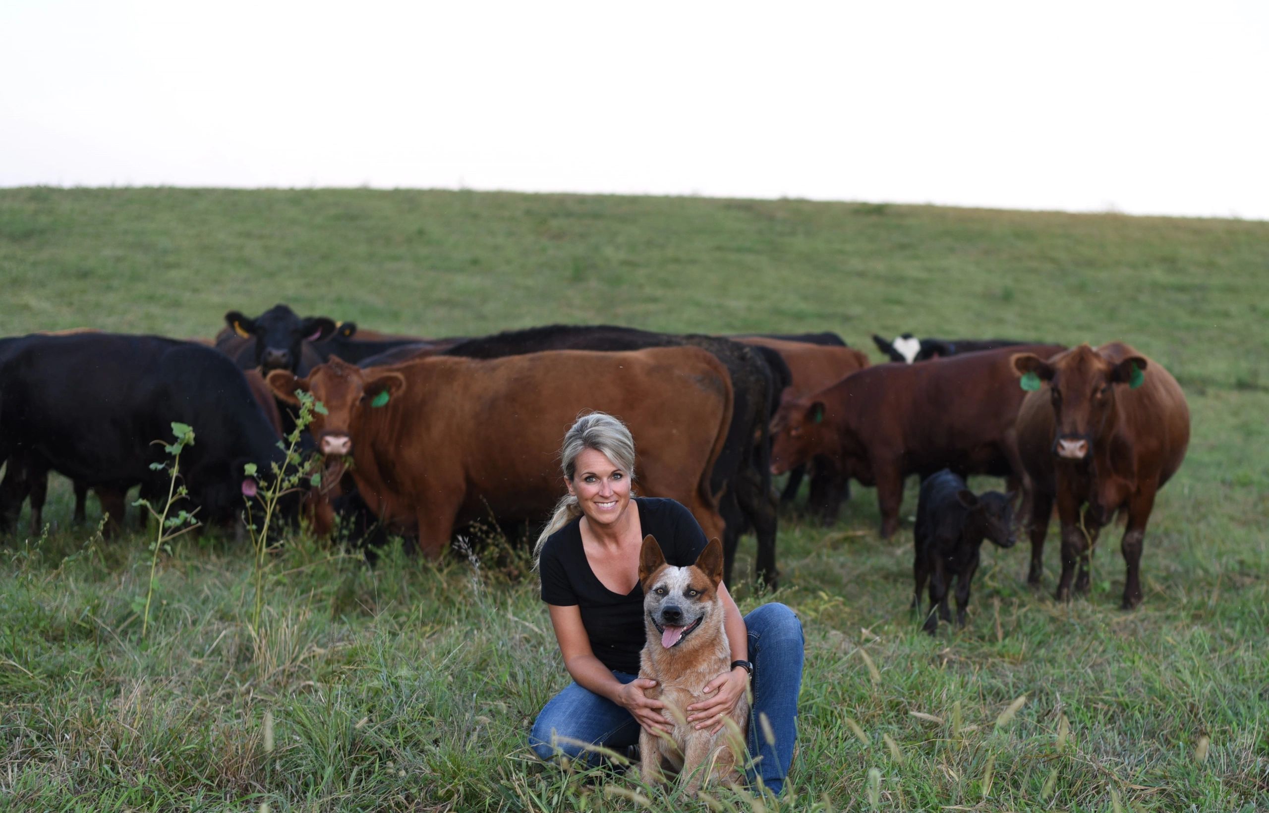 HOME [morninggloryfarms.net]