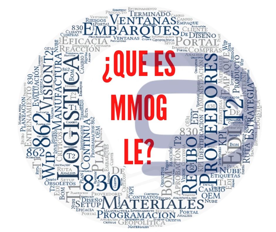 ¿Qué es el MMOG/LE?