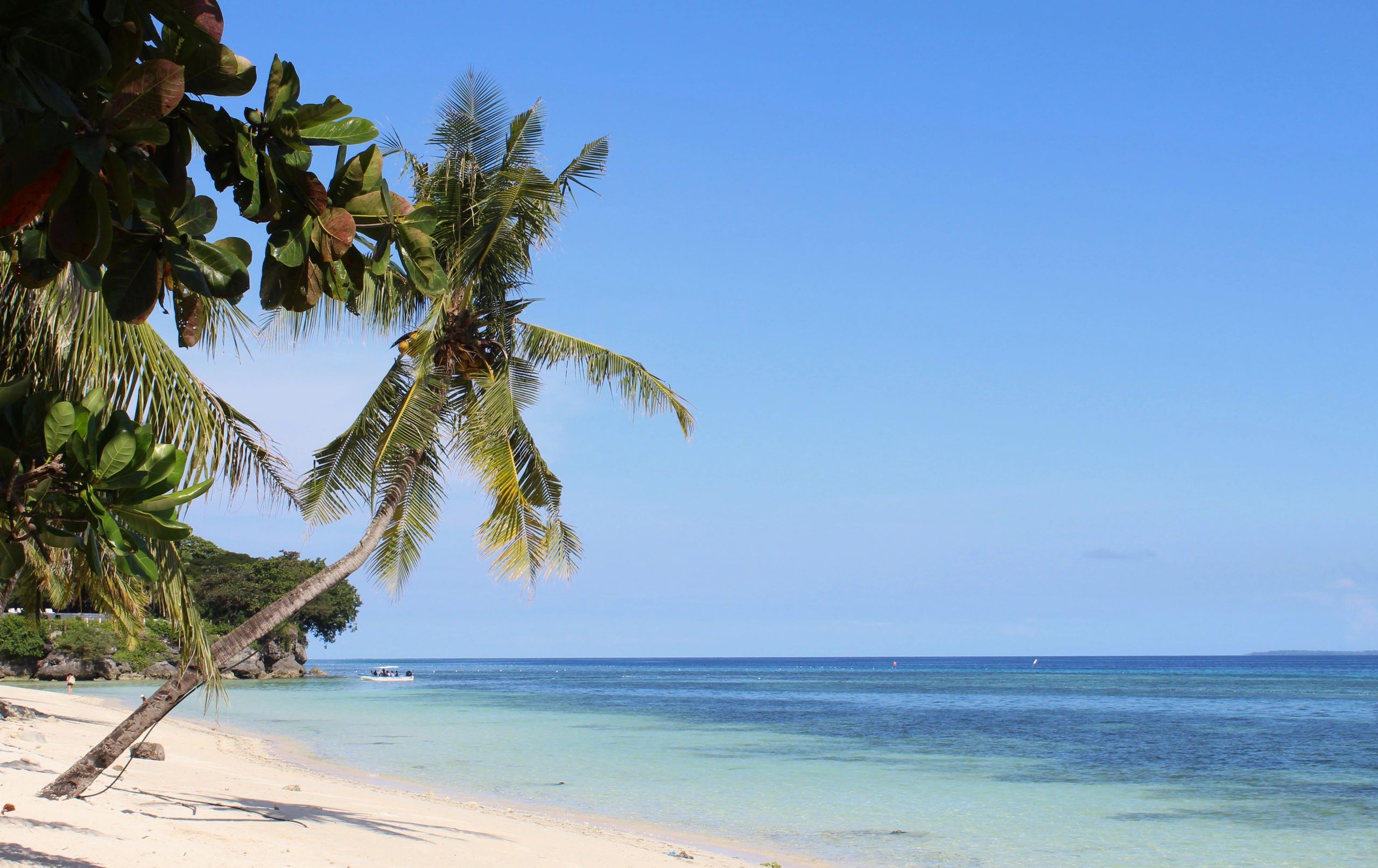 Bohol Panglao Island White Beach Resorts