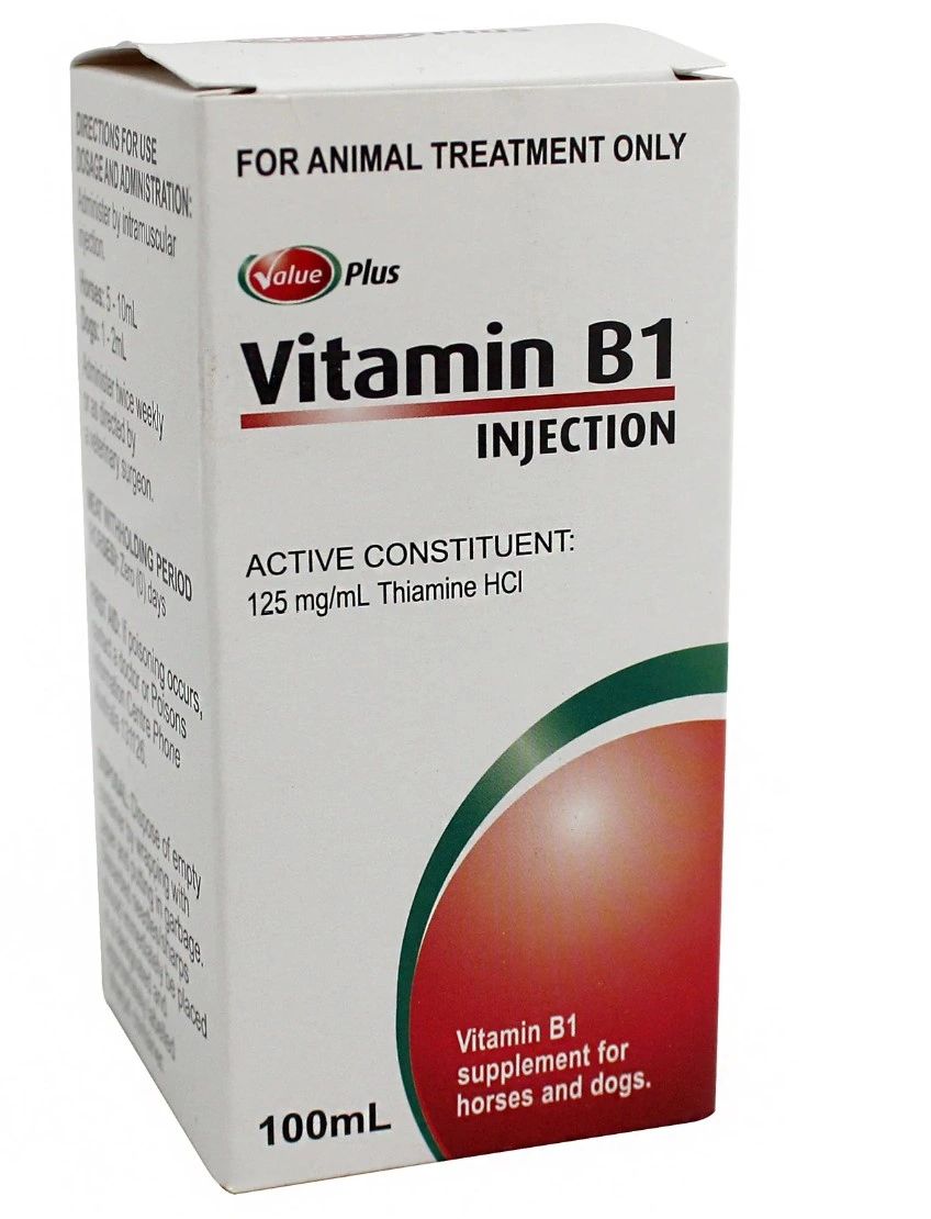 Thiamine Vitamin B1 Injection 100ml
