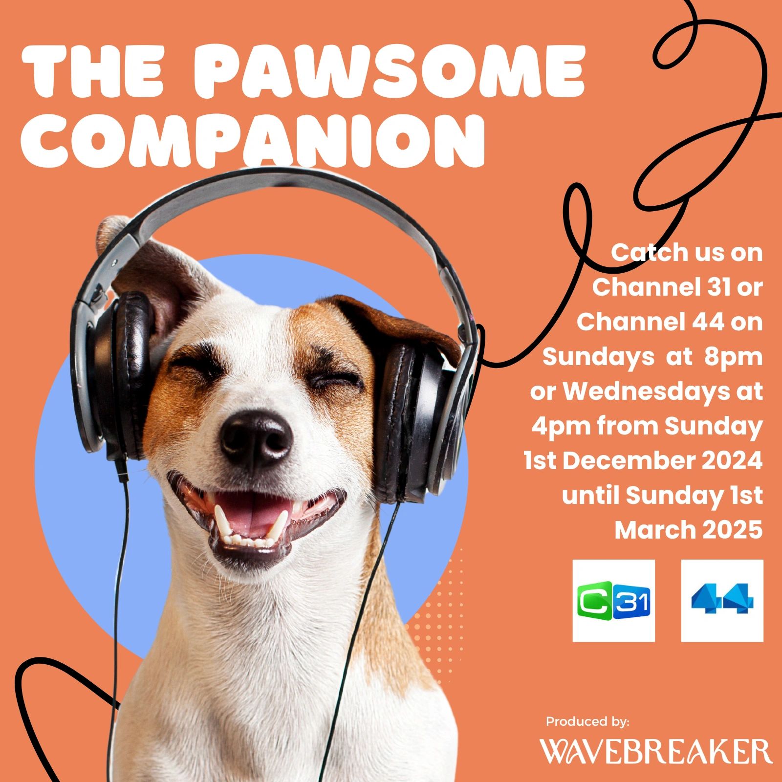 Pawsome Companion TV Show Takes a Leap Forward!