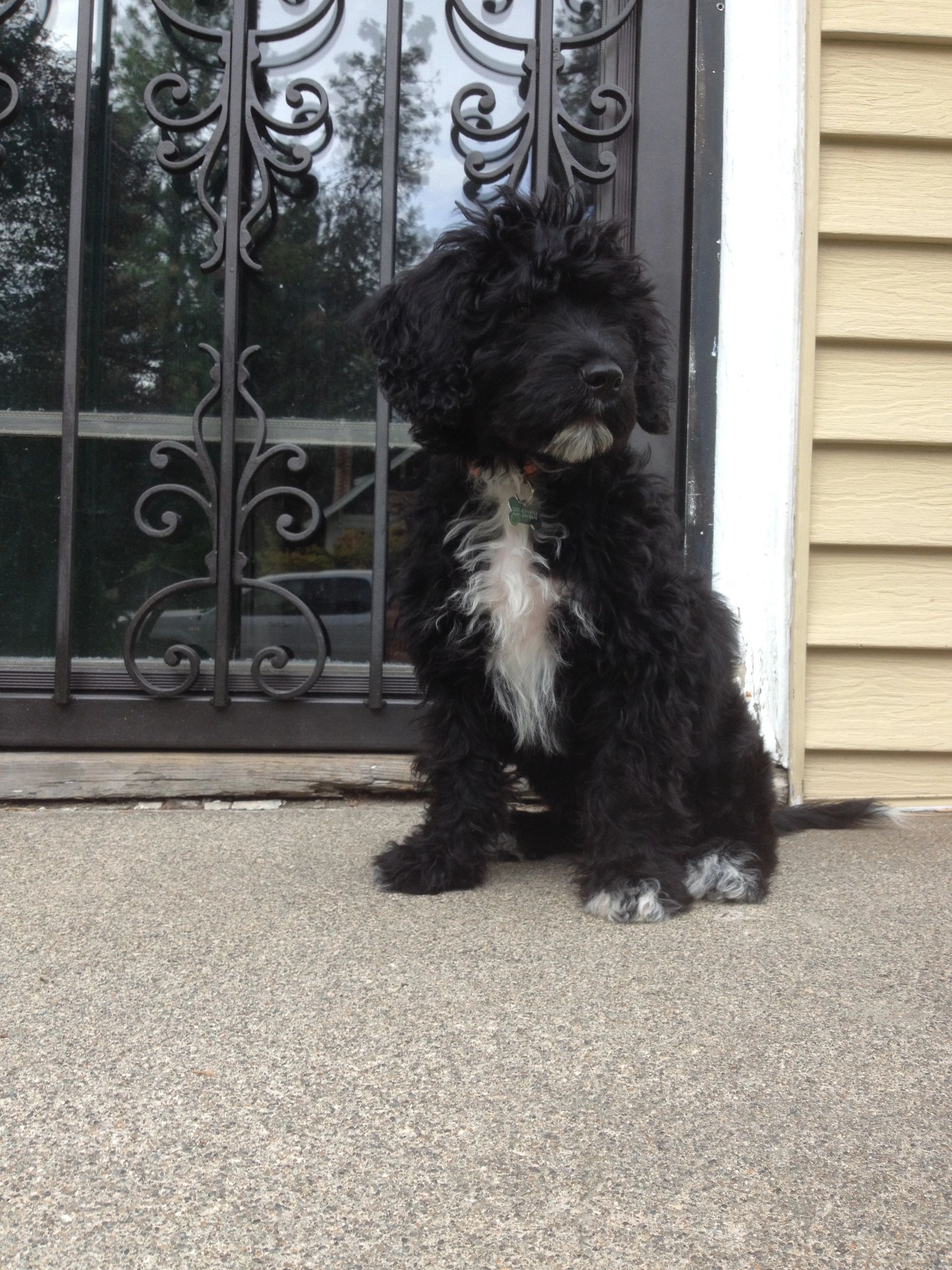 FFS (Facepalm emoji here)