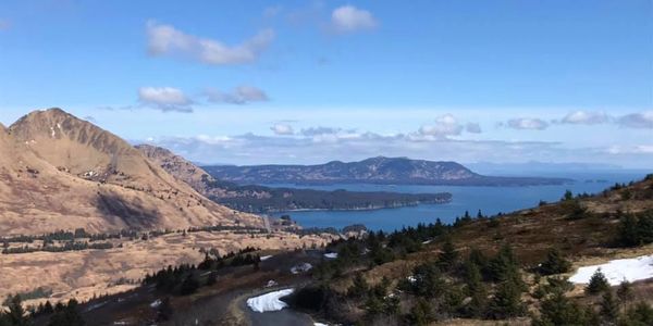 Outdoor Kodiak LLC - Home