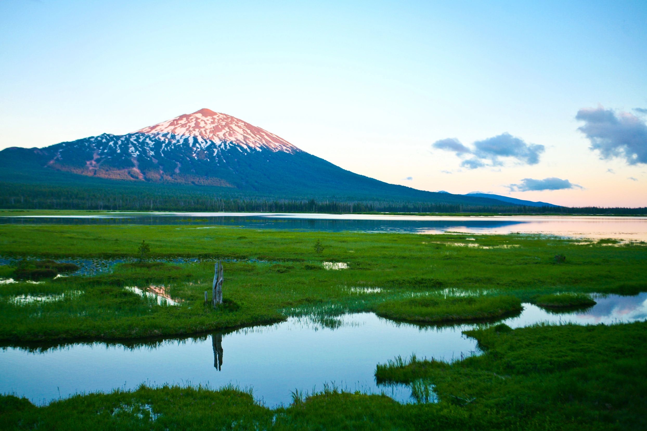 Vert Management | Vert Management