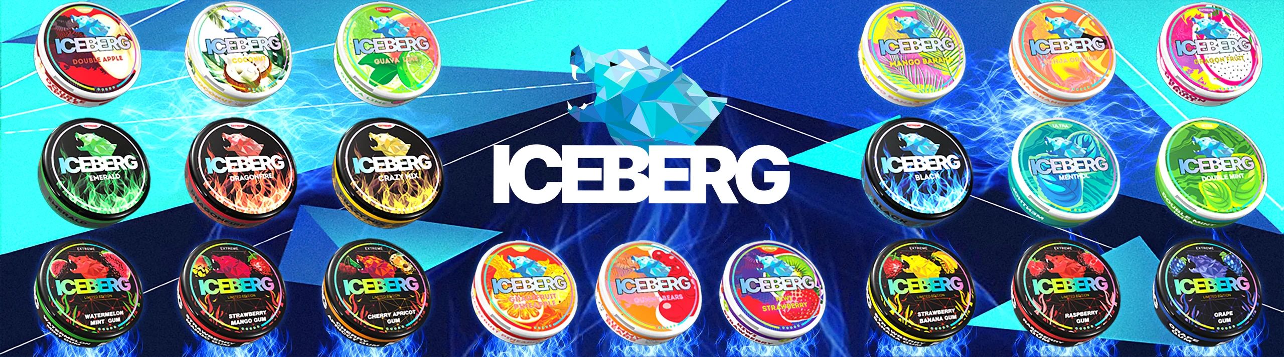 Snus Imports Europe of Northwest Washington, District of Columbia