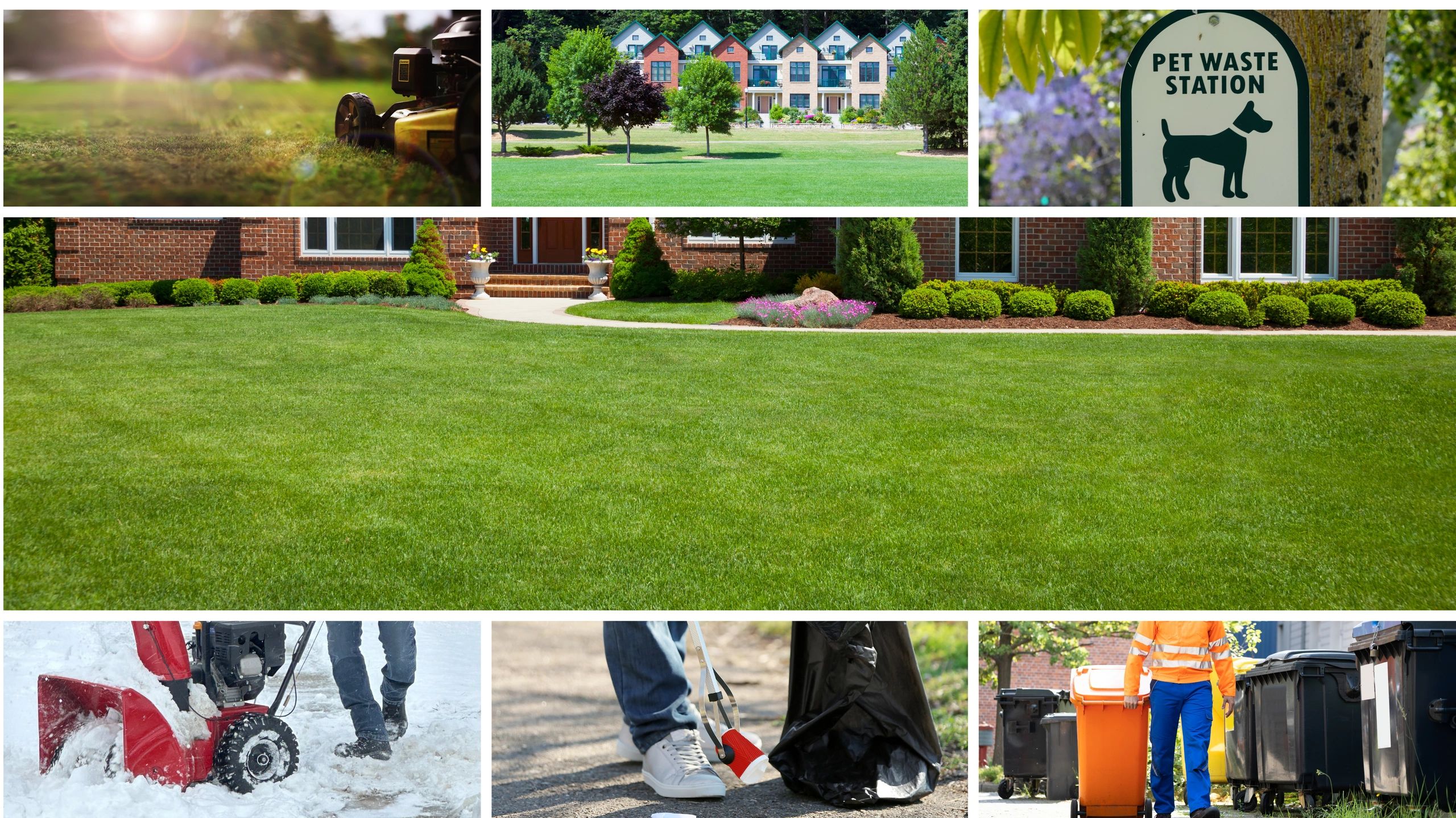 Expert Poop Scooping, Dog and Wild Animal Waste Removal, Trash Day ...