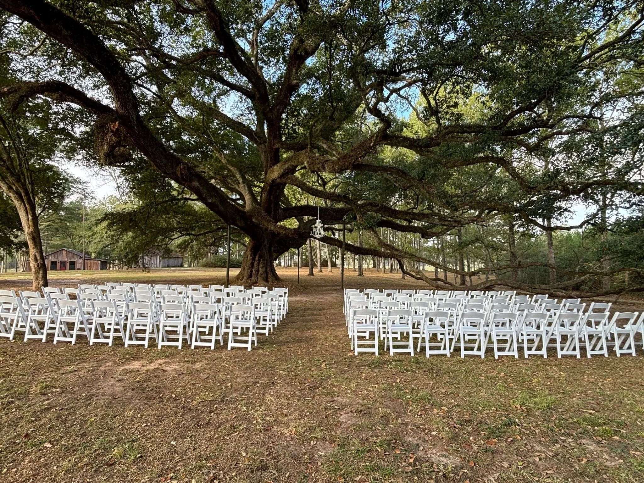 Gallery | Oak Hill Farm