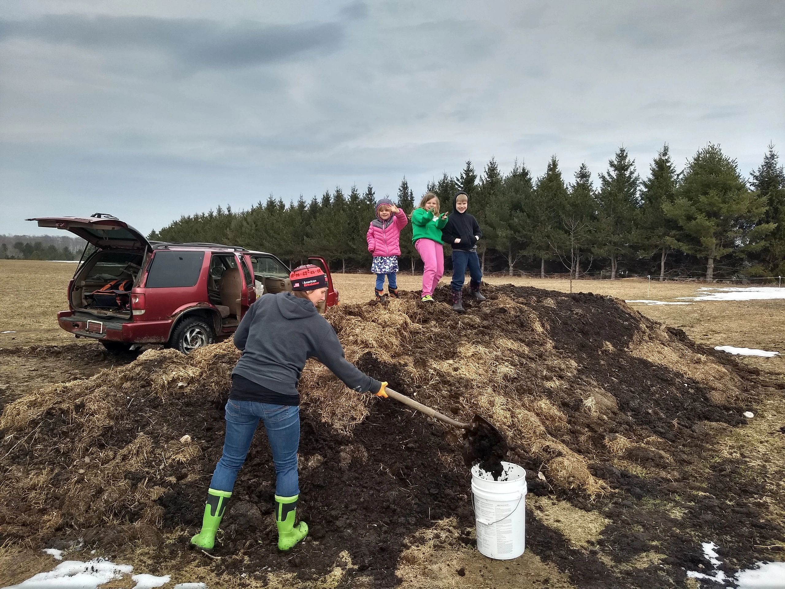 Getting Ready to Feed the Trees