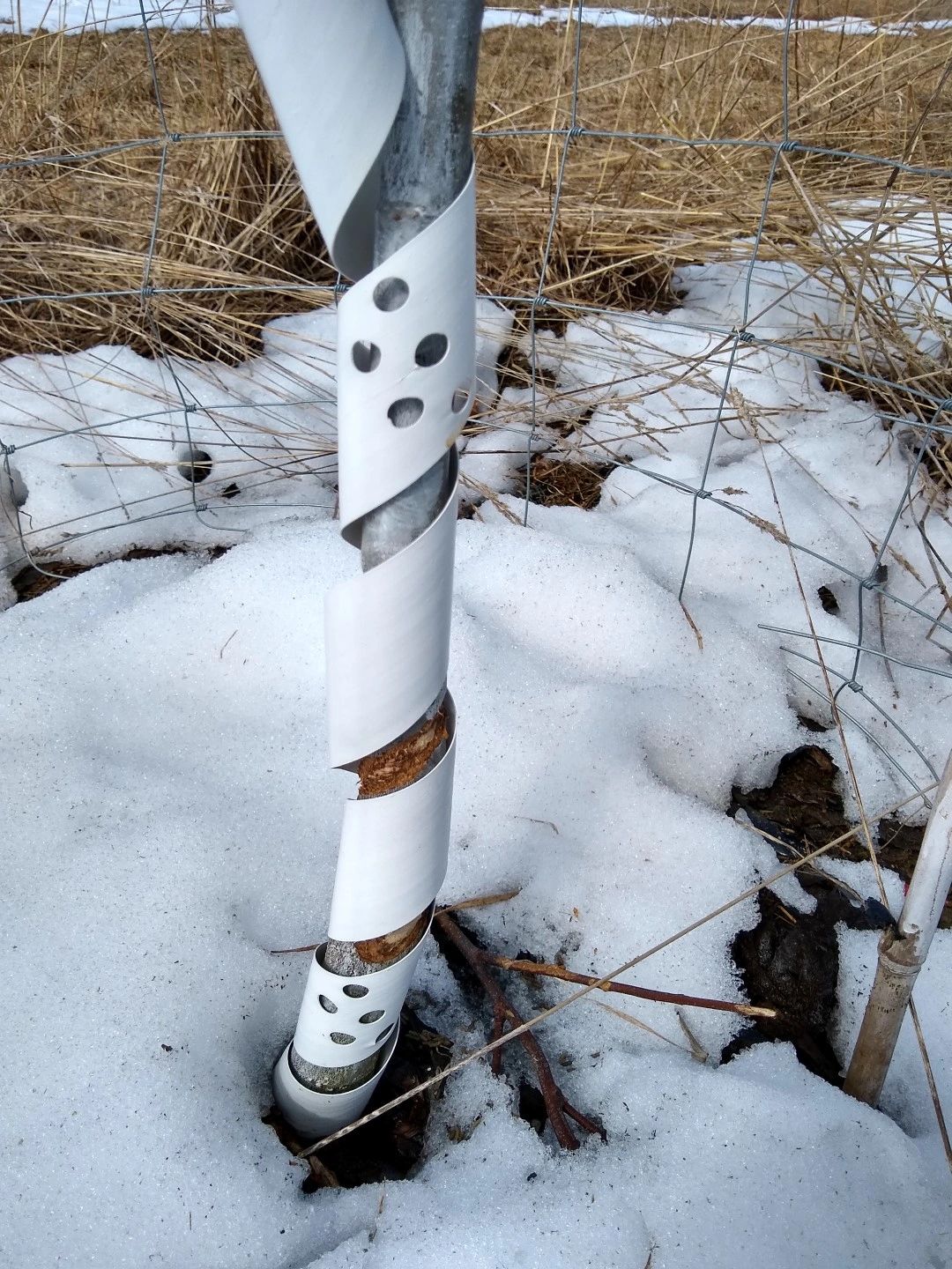 Room for Improvement - Rodent Guards