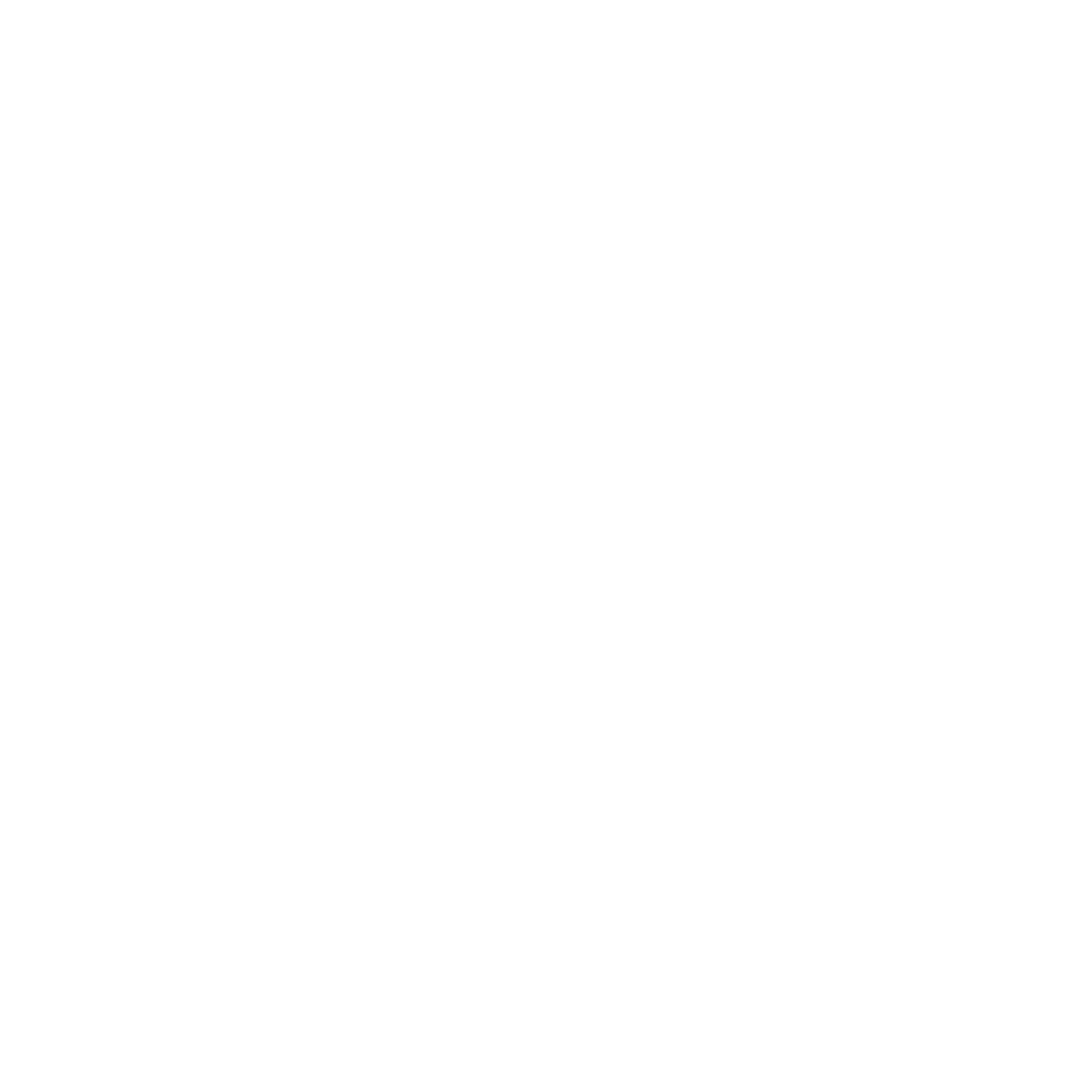 BOLD America
