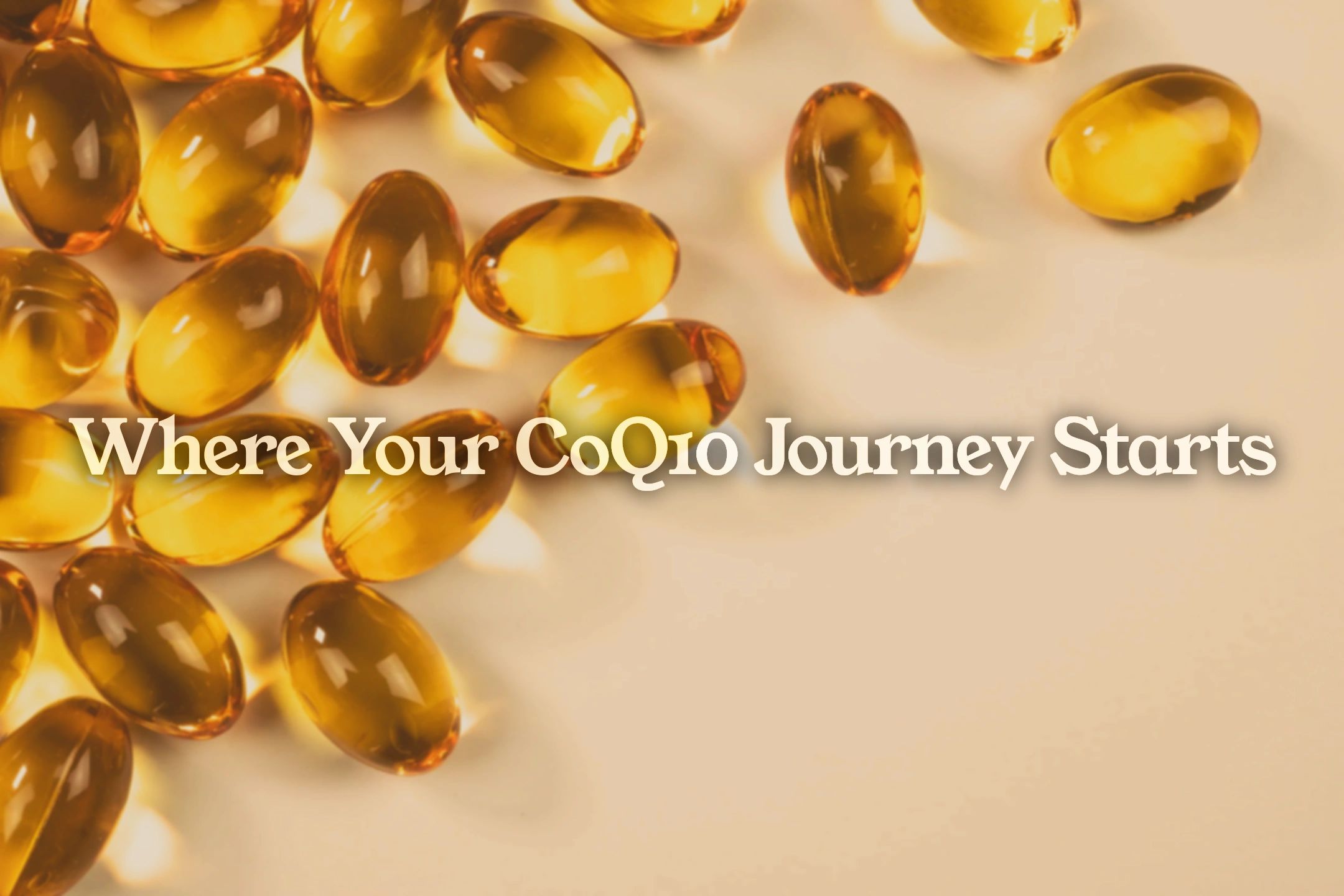 Home [coq10association.org]