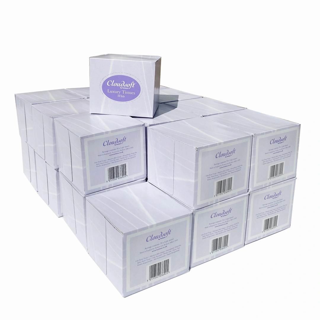 CLOUDSOFT Professional 70 Luxury Soft Cube Tissue 24 Packs