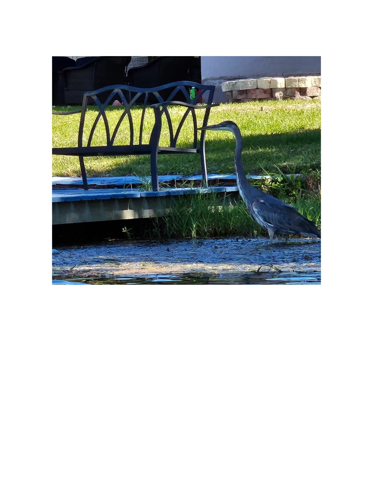 San Jose Lake Association