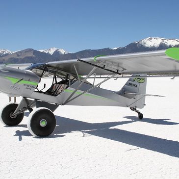 T3 TAILWHEEL SUSPENSIONS