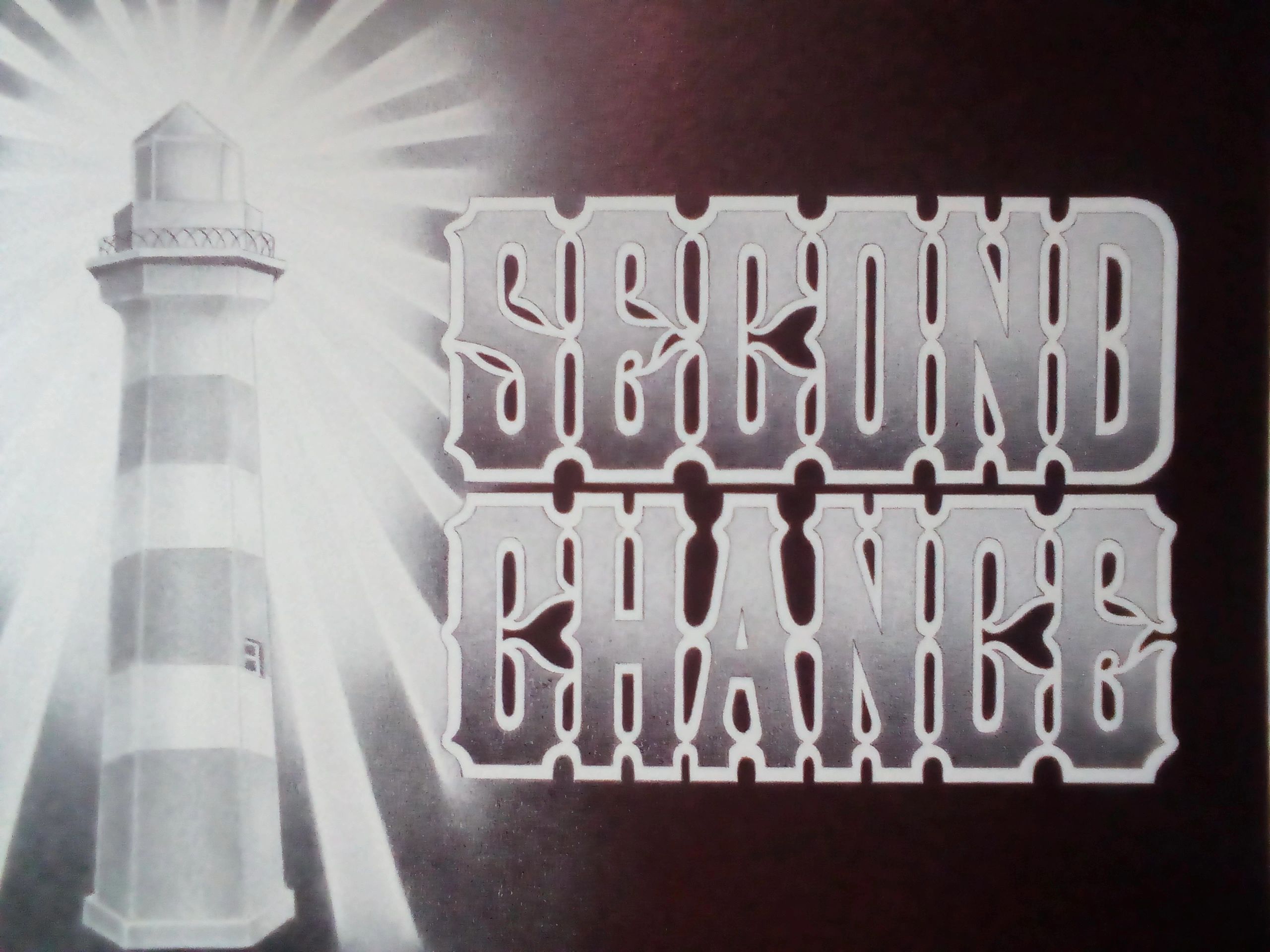 Second Chance Organization | Second Chance Organization