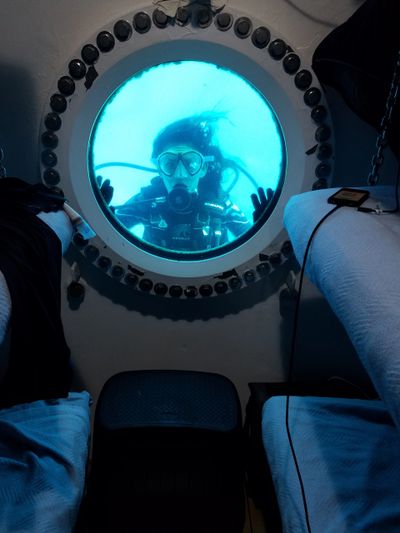 NEEMO Project | Website of Csilla Ari, Ph.D.