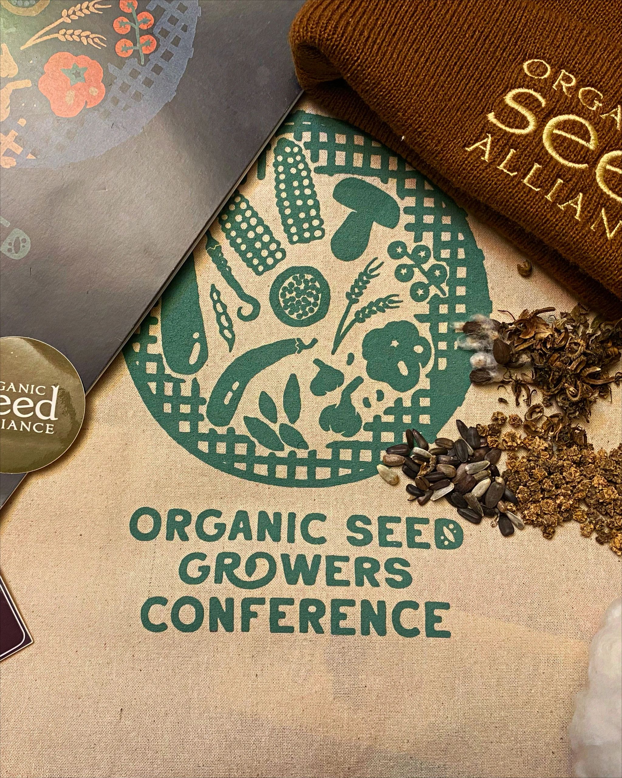 Cultivating Connections & Preserving Seeds: My Experience at OSGC