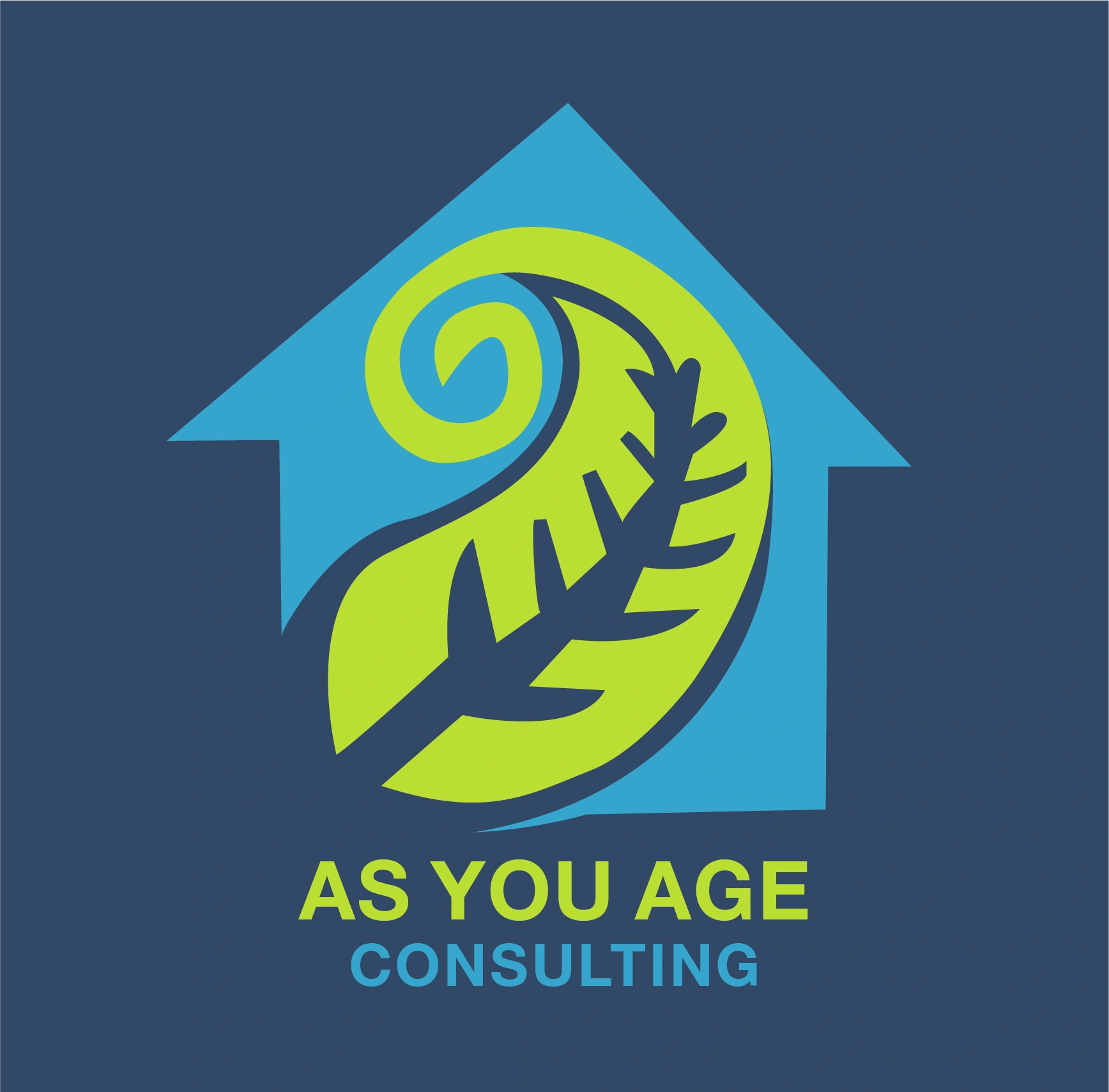 Expert Home Modifications for Aging in Place