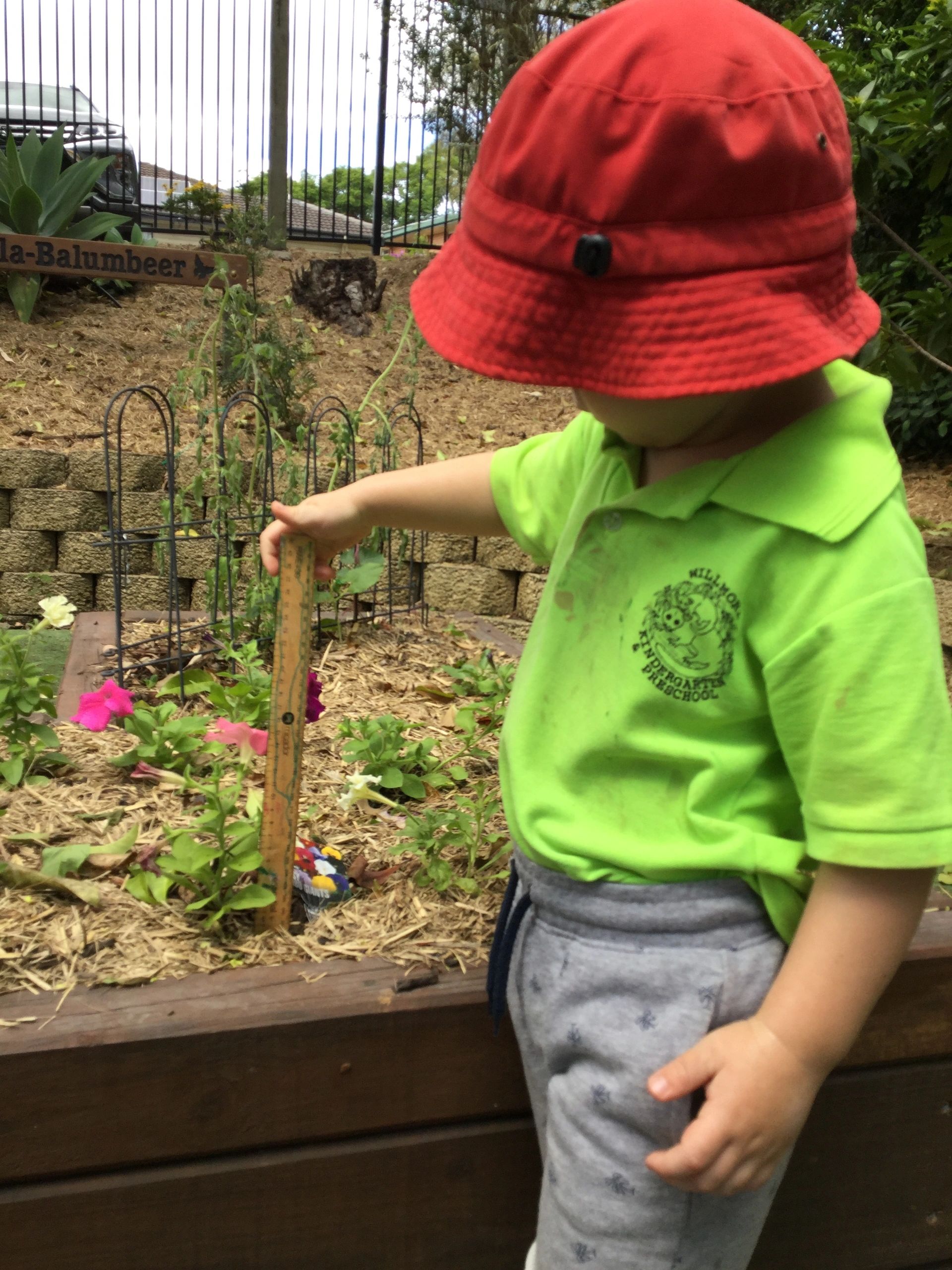 Sustainability begins at kindergarten