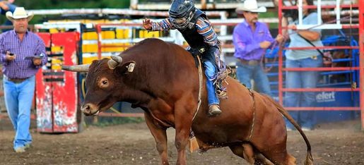 Criders Rodeo and Dancehall - Dancehall, Rodeo, Cafe