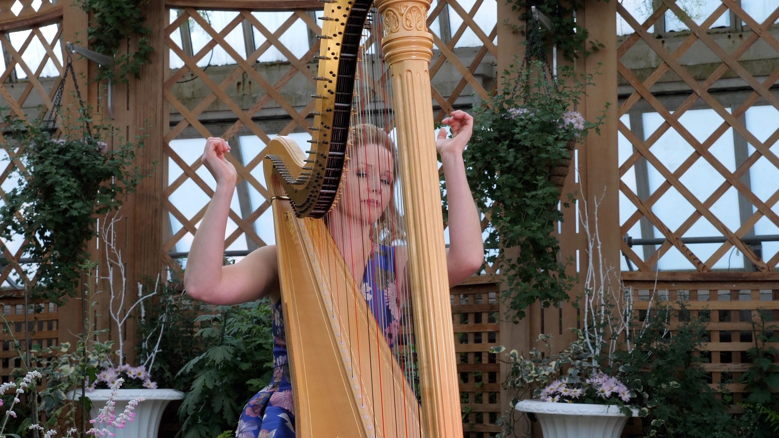 Harp Album | Sound of Elegance Harpist