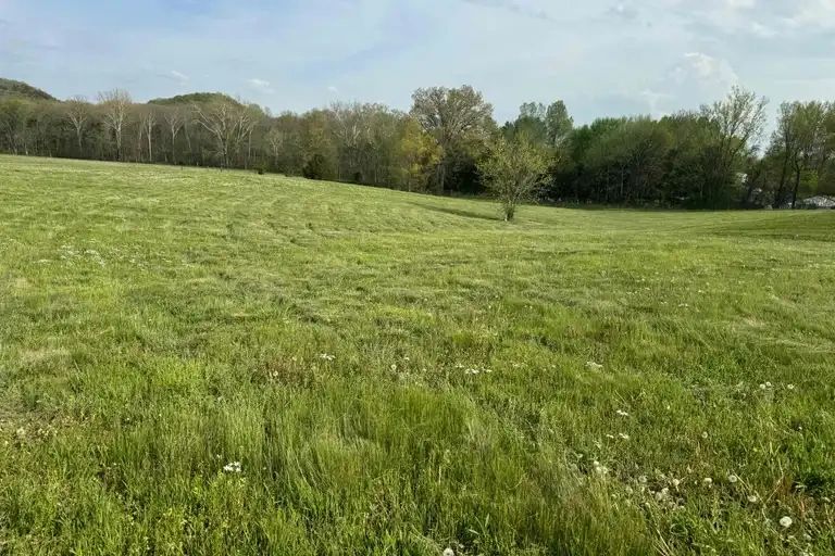 Iron Nail Ranch Sniff Spot